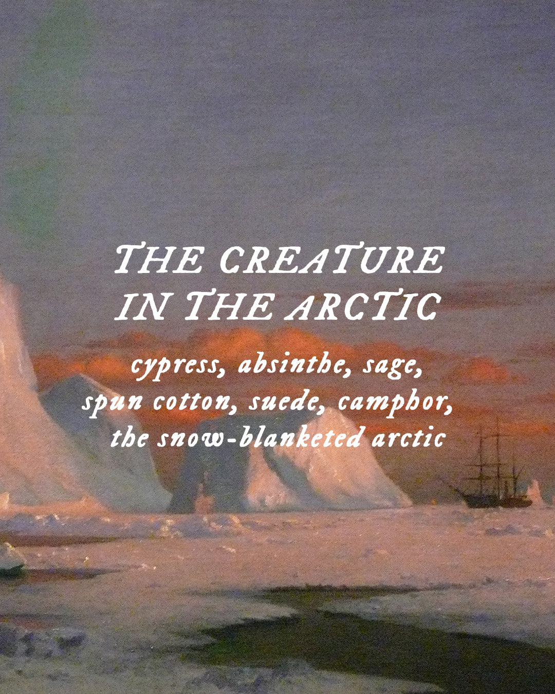 The Creature in the Arctic - Perfume Oil – Wick Wish
